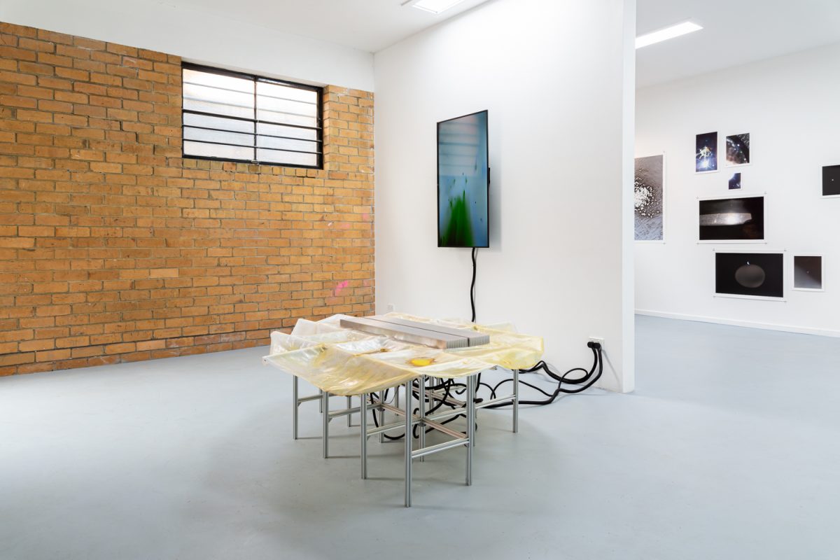 KINGS › Mullaloo and Magnus